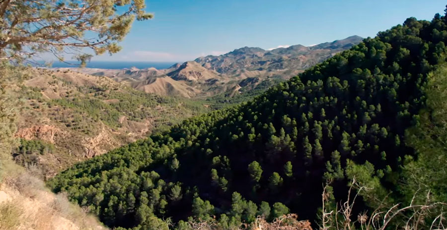 Área de la Limera Sierra Cabrera: el refugio de las ardillas - WEEKY
