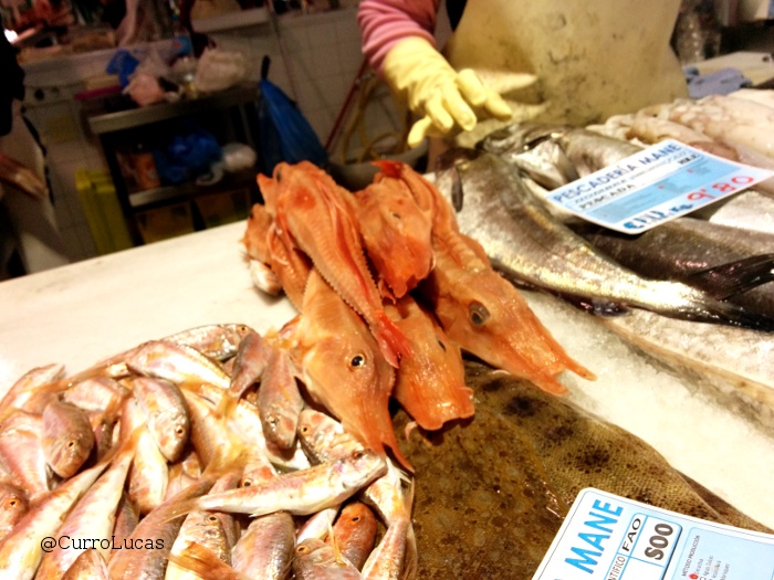 Armao, el pescado que vino del espacio exterior - WEEKY